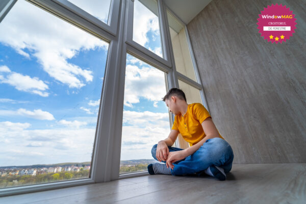 Ce ferestre sunt mai potrivite pentru o mansarda? - Ferestre si usi ...